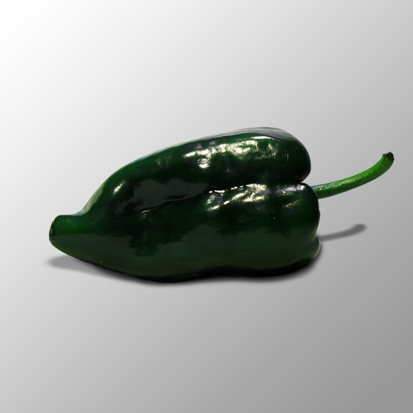 Chile Poblano | Chileros